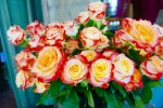 Seattle, WA - A Perfect Day at Pike's Place Market - LADYHATTAN