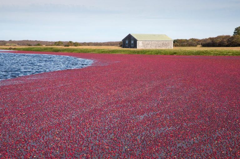Nantucket Island - Five Fabulous Fall Events - LADYHATTAN